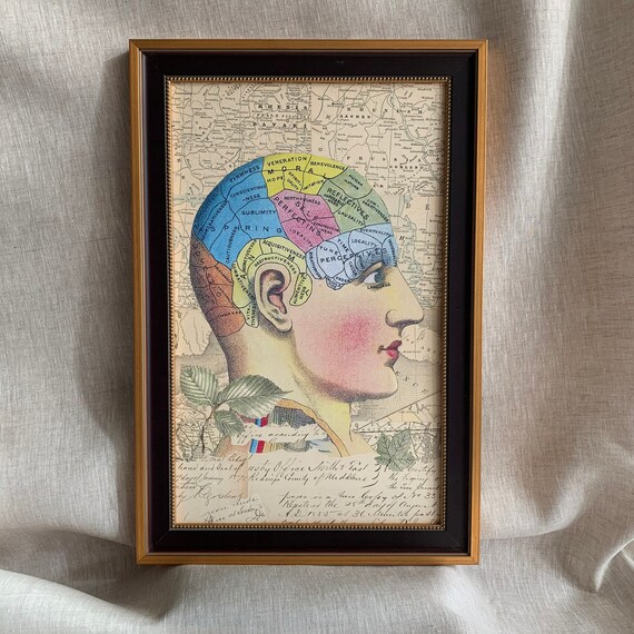 Framed Collage Artwork Gift for Doctor Physiognomy | Etsy