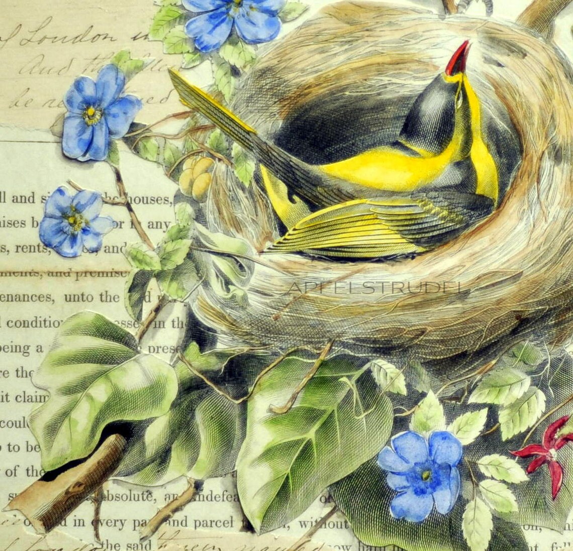 Vintage Bird Art Collage Original Whimsical Collage Bird - Etsy