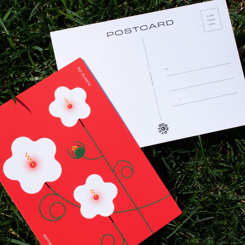 D.C. Native Plants Postcards Original Illustrations: Set of 10 - Etsy