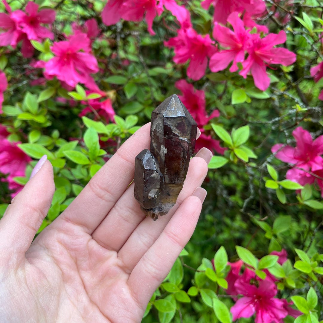 Beautiful Amethyst Scepter - Etsy