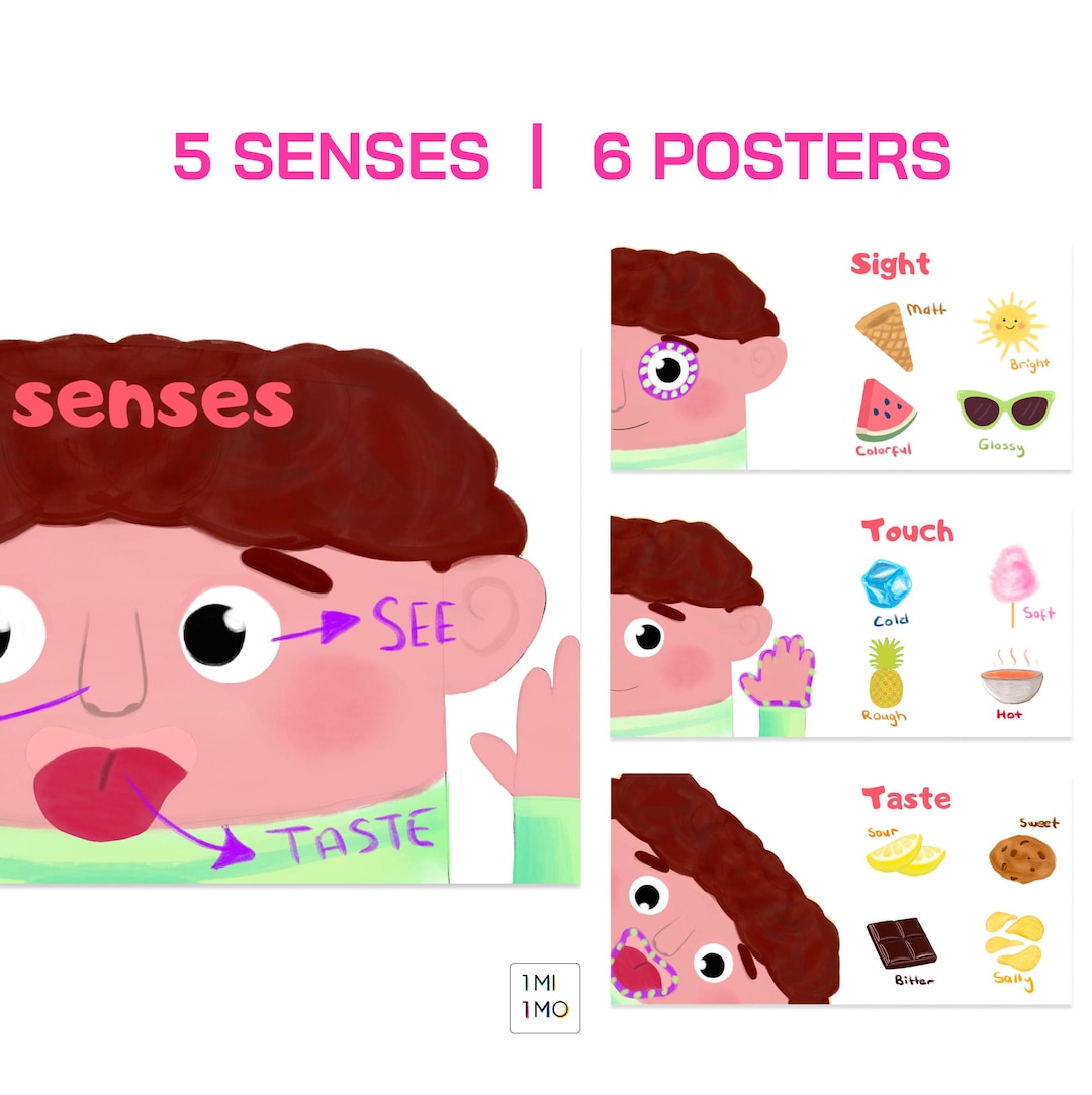 Back to School Learning 5 Senses Posters Pre-k Kids Poster Preschool ...
