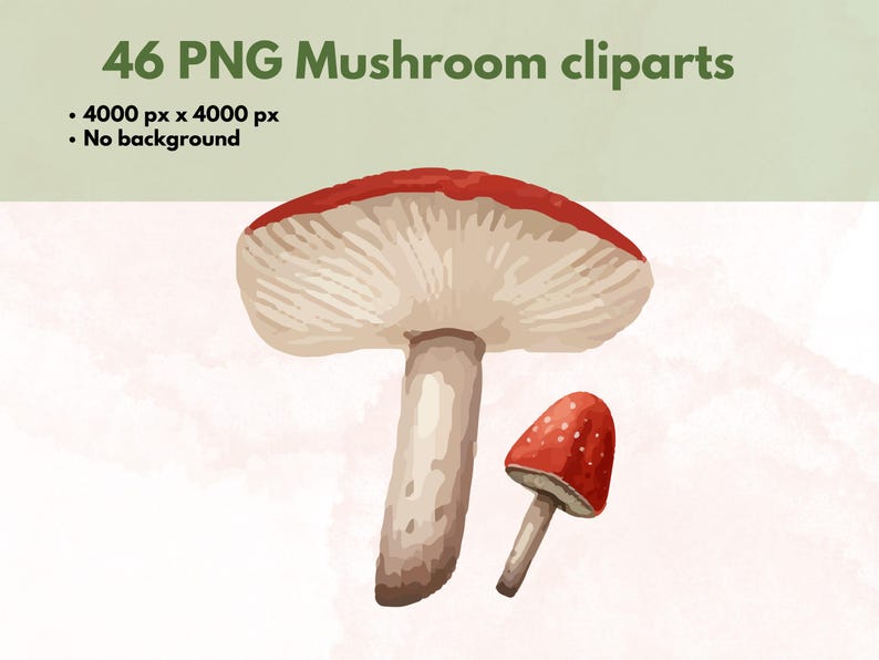 Red Mushroom Watercolor Clipart | Woodland Mushrooms Clip Art | Forest ...