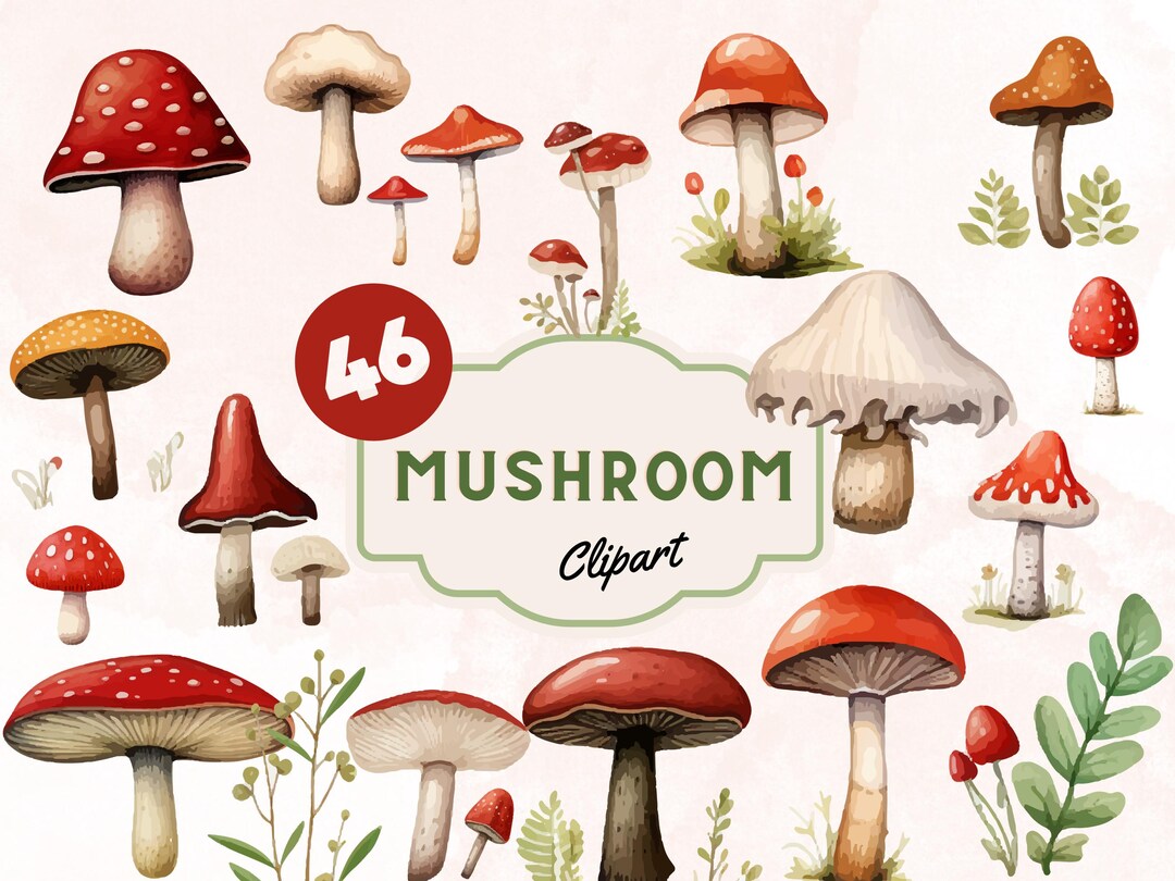 Red Mushroom Watercolor Clipart | Woodland Mushrooms Clip Art | Forest ...