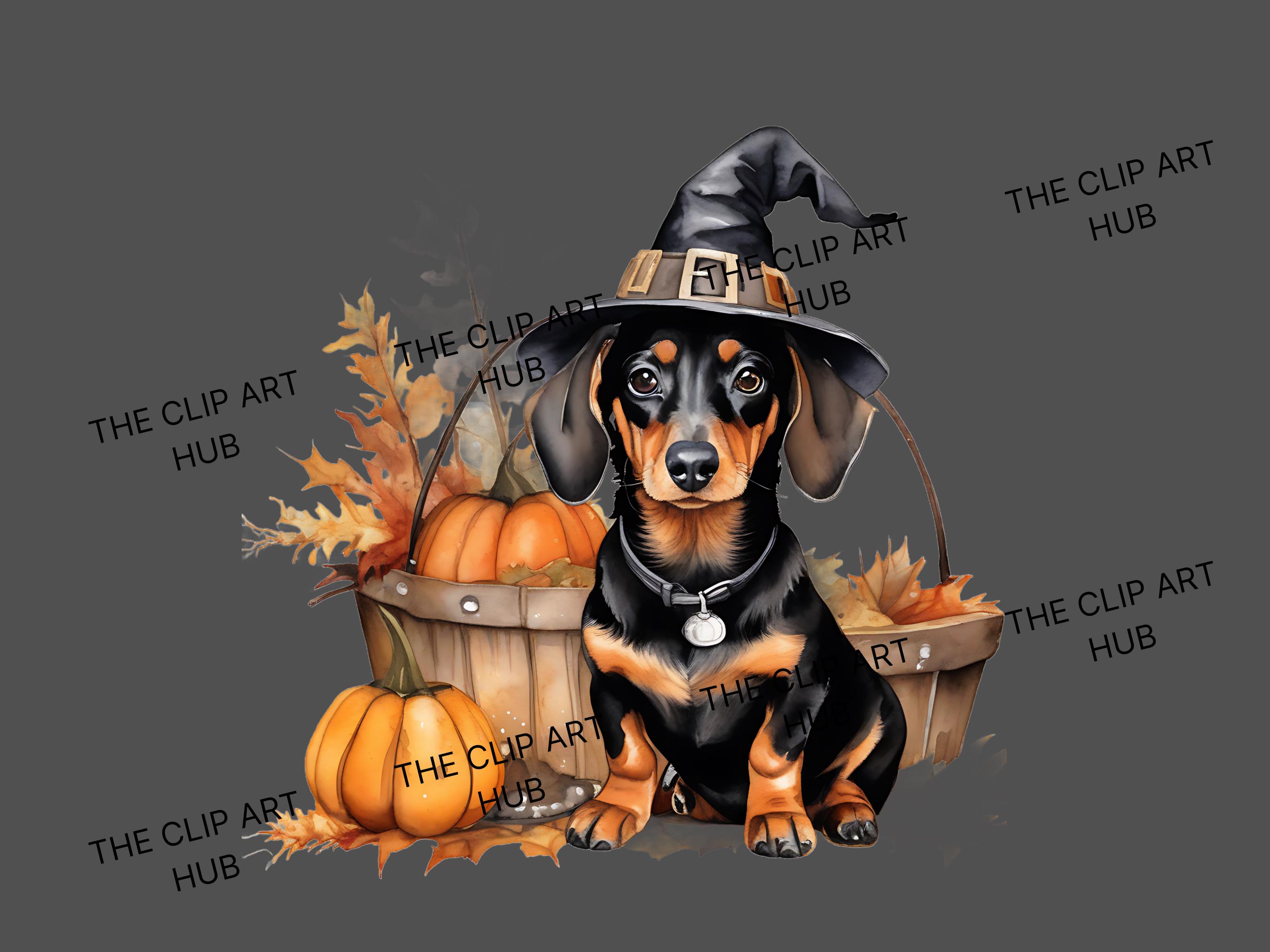 Halloween Dachshund Watercolor Clipart | Dachshund Halloween Clipart ...