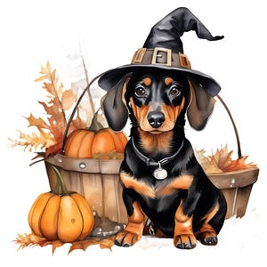 Halloween Dachshund Watercolor Clipart | Dachshund Halloween Clipart ...