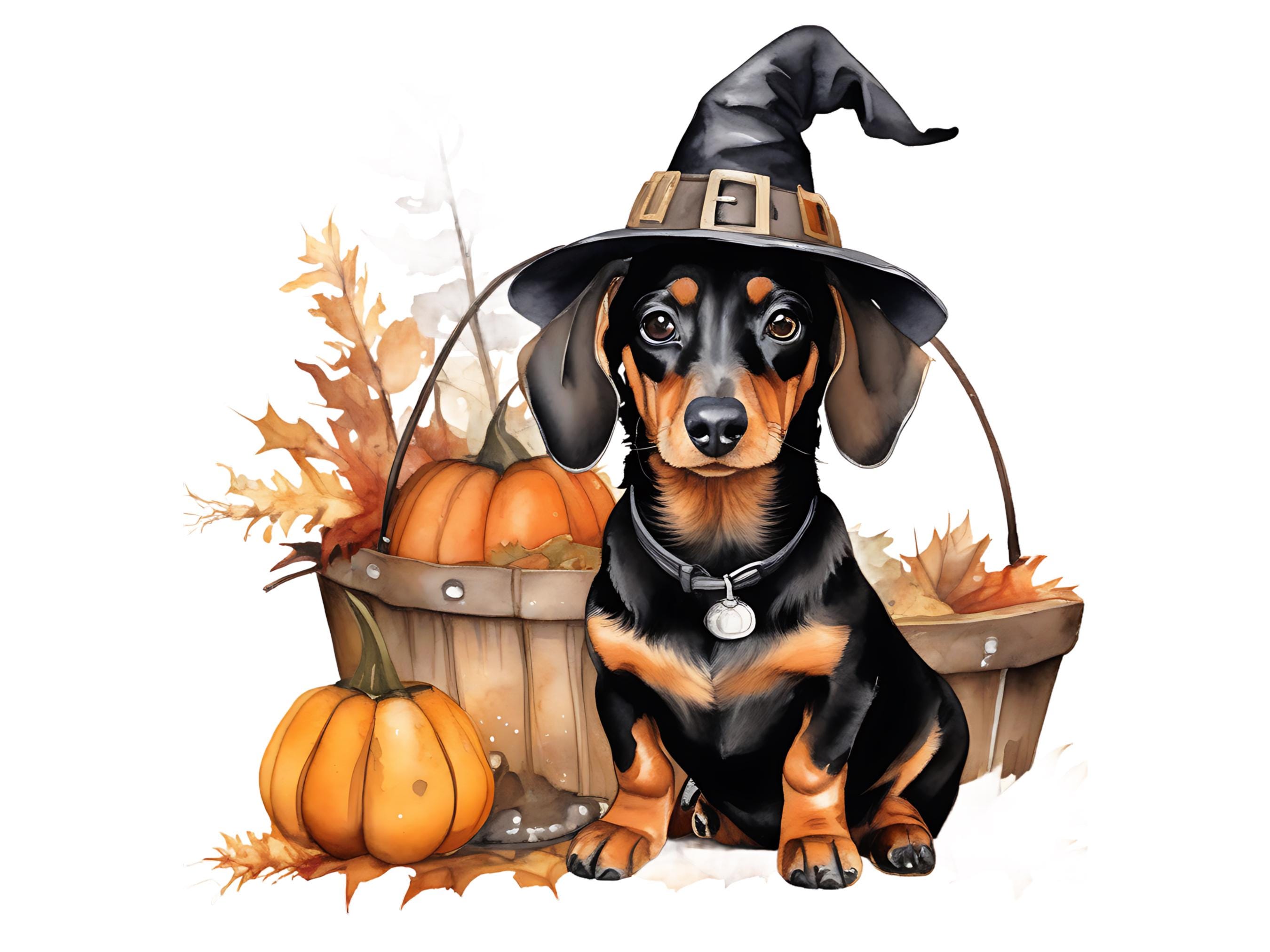 Halloween Dachshund Watercolor Clipart | Dachshund Halloween Clipart ...