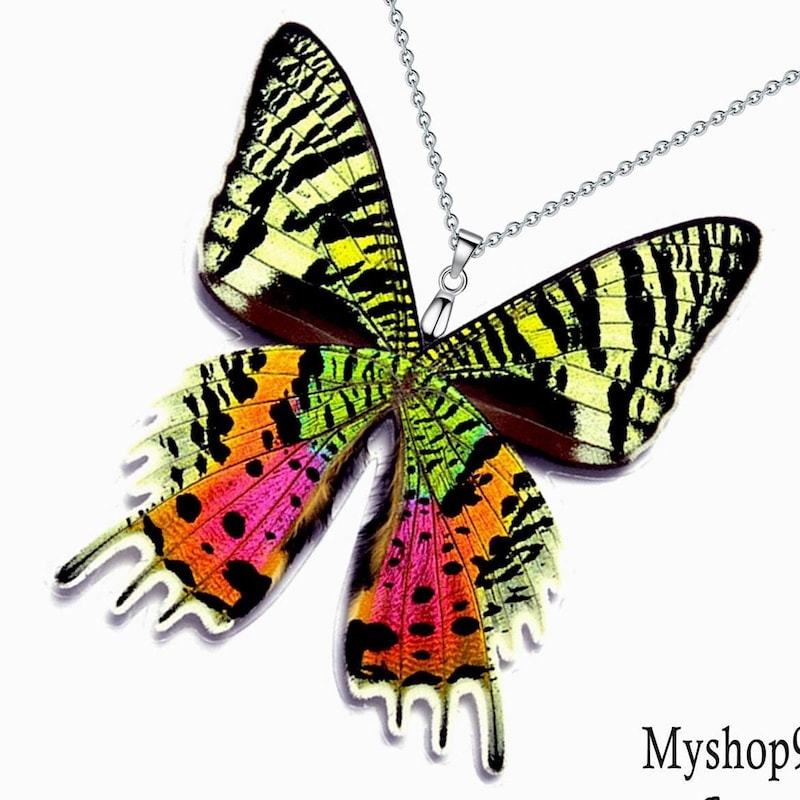 Real Butterfly Wing - Etsy