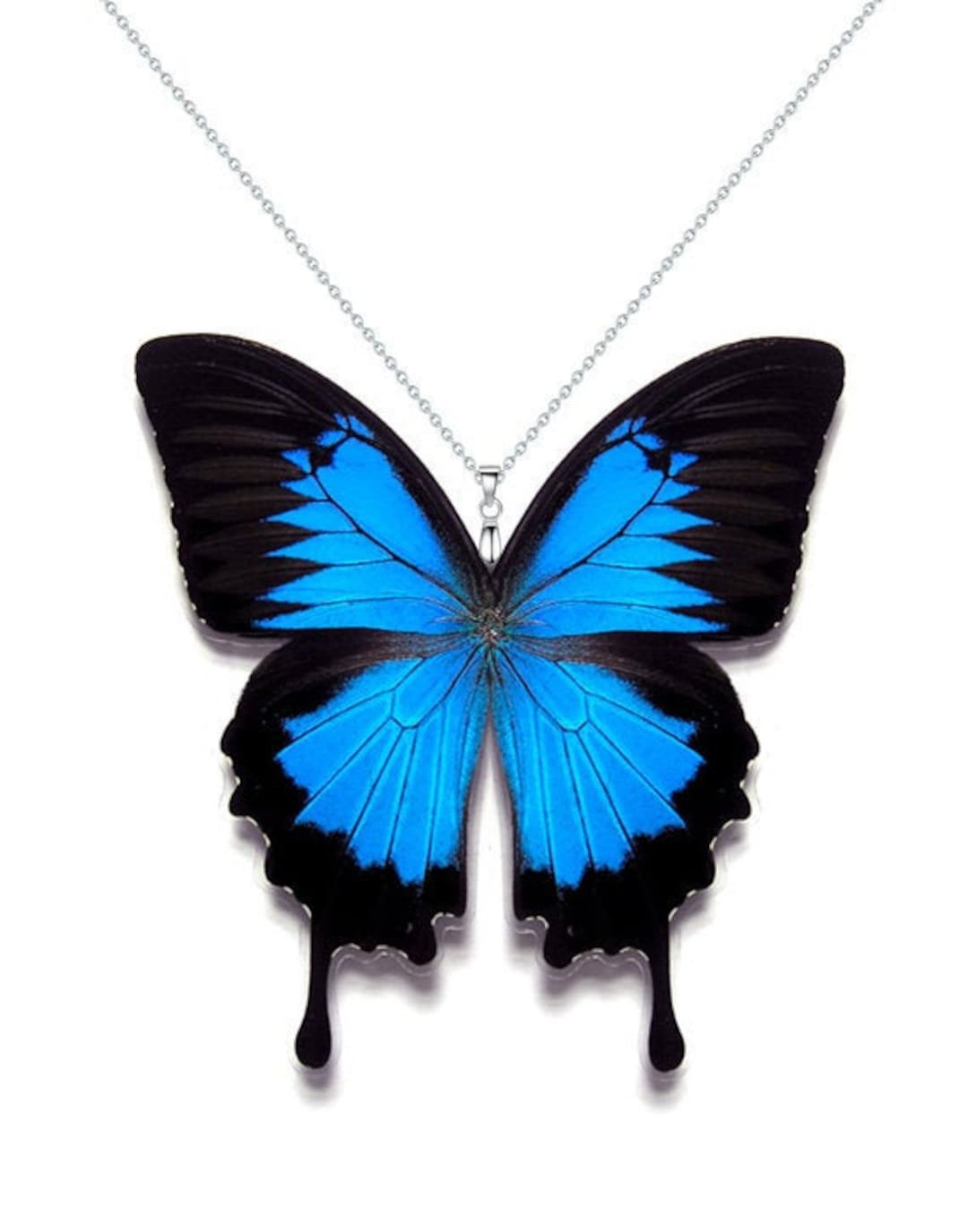 Blue Butterfly Craft Jewelry Real Blue Papilio Ulysses Butterfly Wing ...