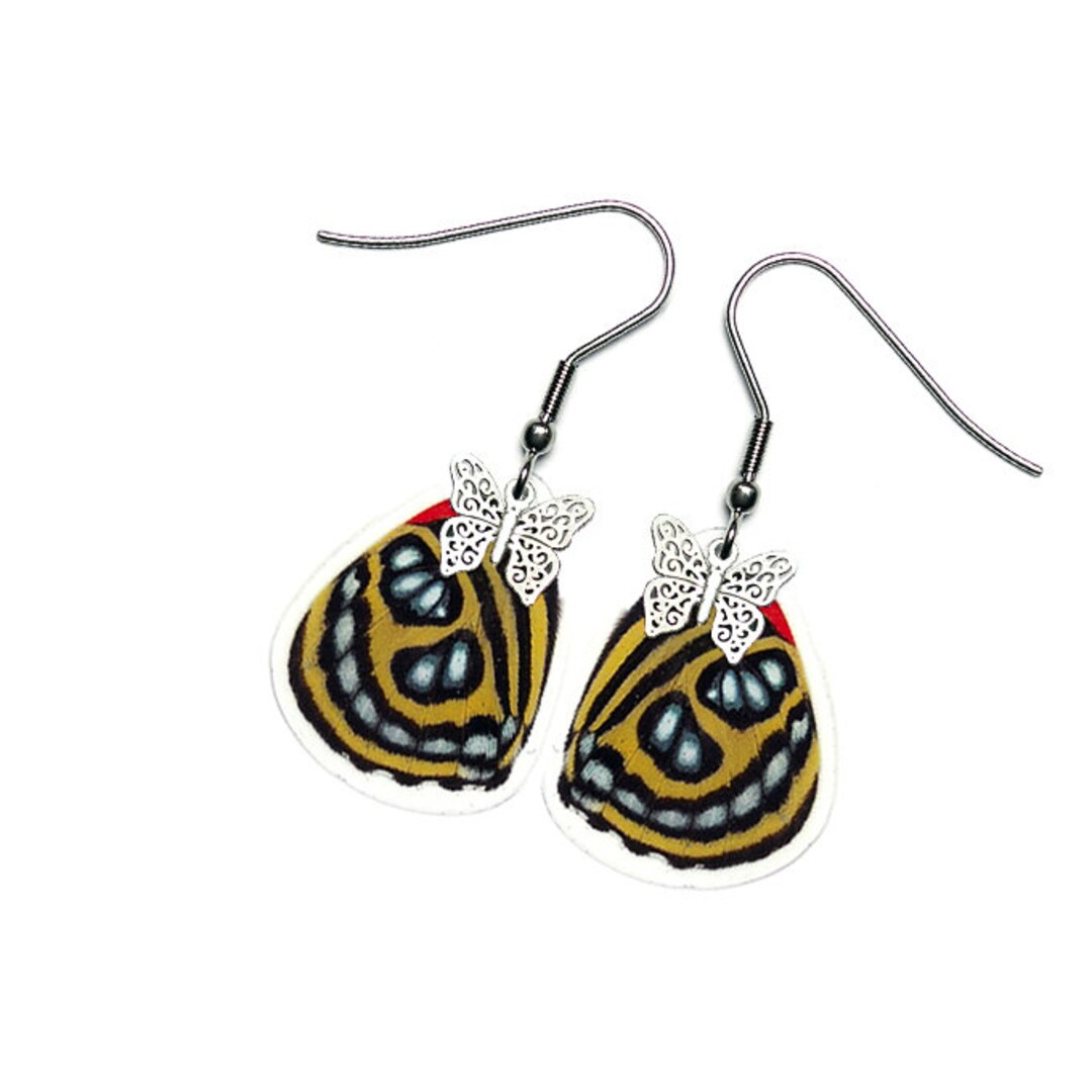 Real Butterfly Wing Earrings Callicore Cyllene Hindwing - Etsy España