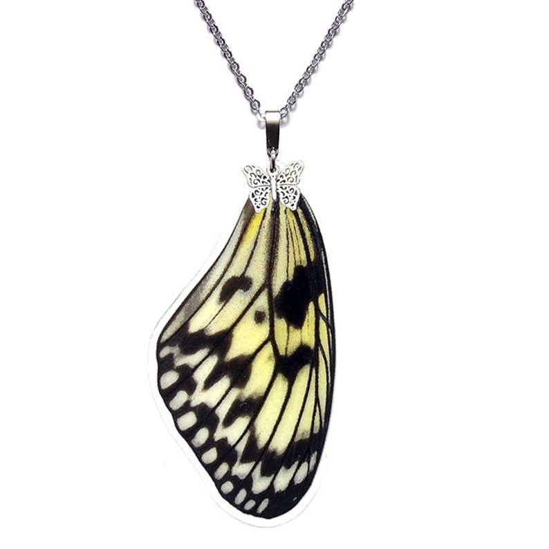 Handmade Real Butterfly Wing Necklace idea Leuconoe Forewing - Etsy