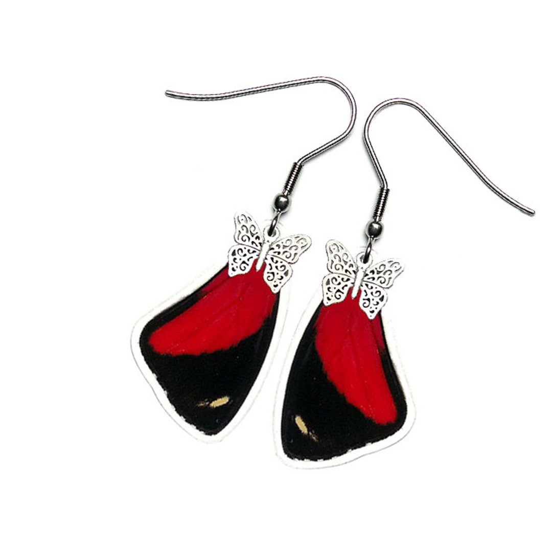 Real Butterfly Wing Earrings callicore Cyllene Forewing E185 - Etsy