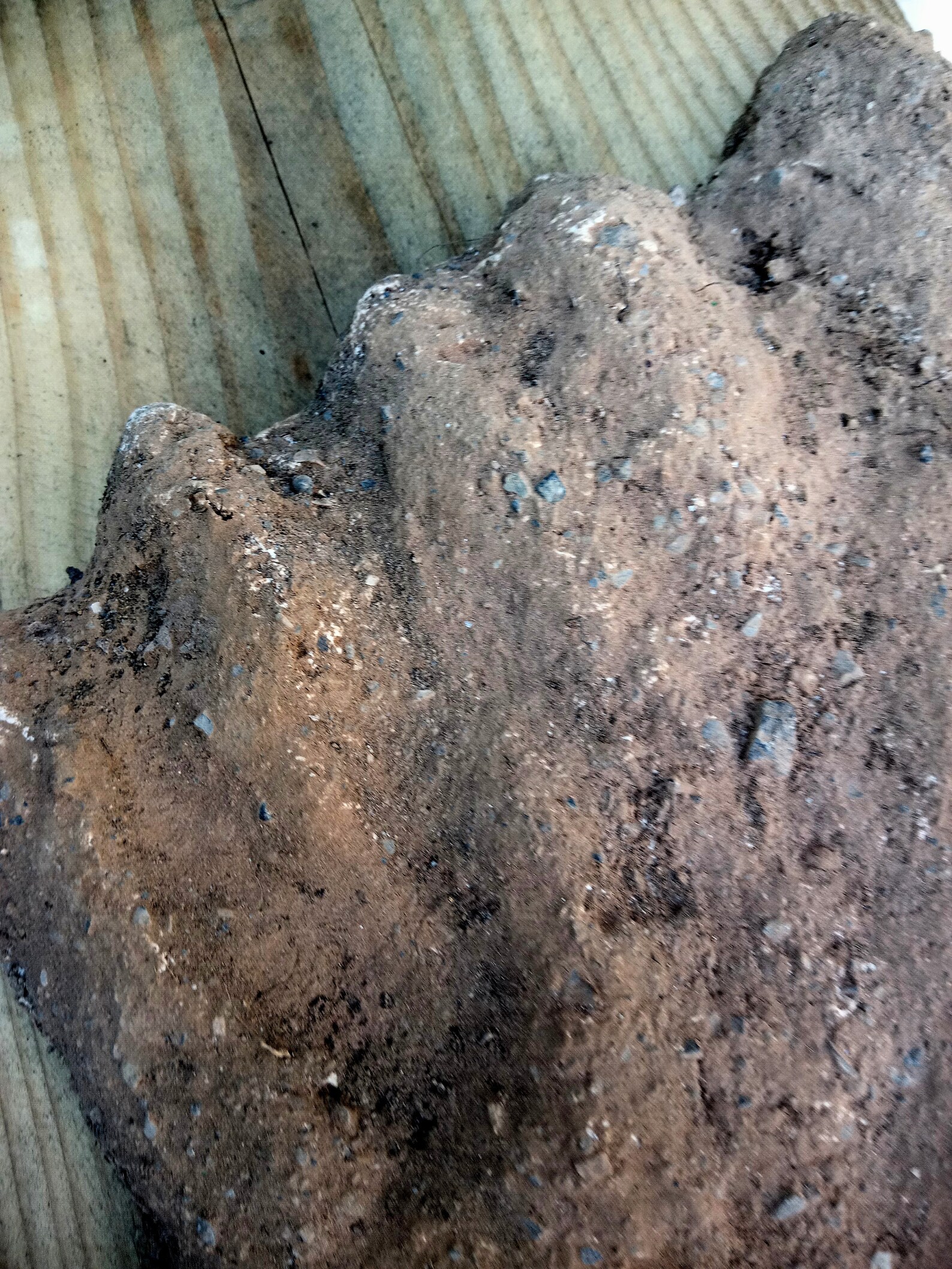 Real SASQUATCH YETI BIGFOOT - Original Footprint It's Not a Copy, Old ...