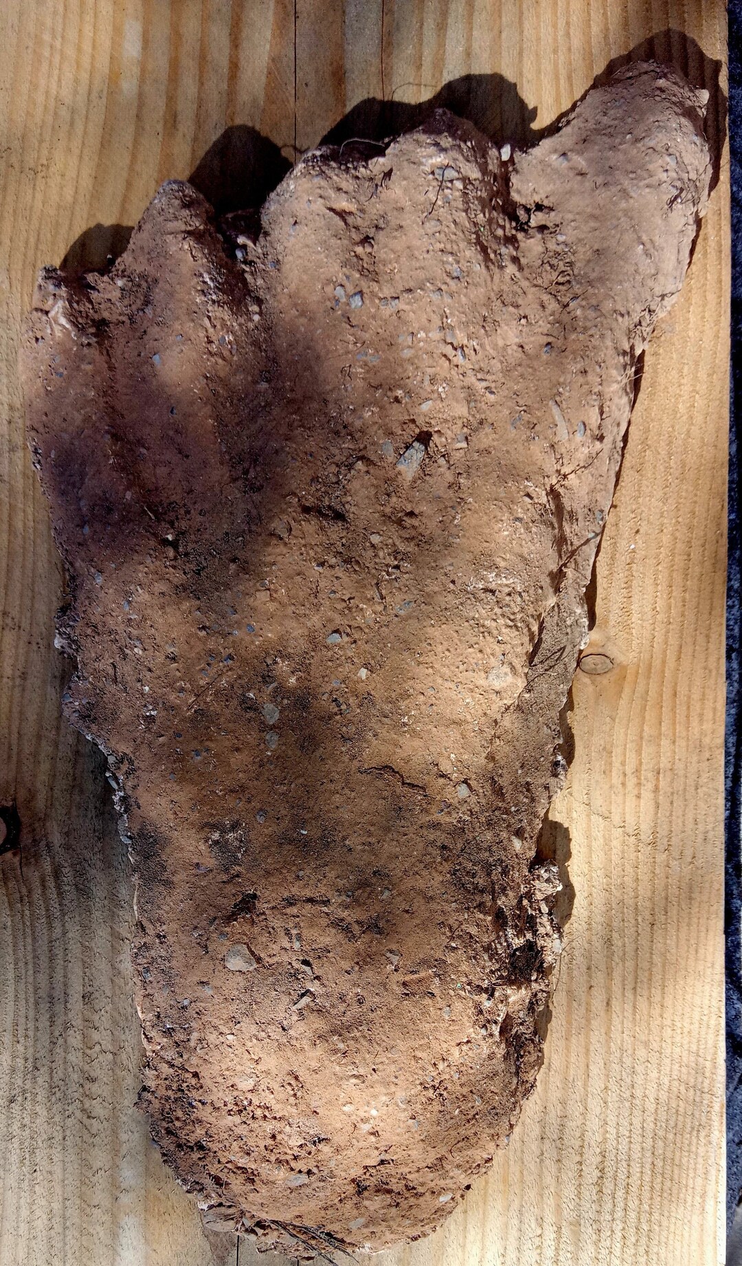 Real SASQUATCH YETI BIGFOOT - Original Footprint It's Not a Copy, Old ...
