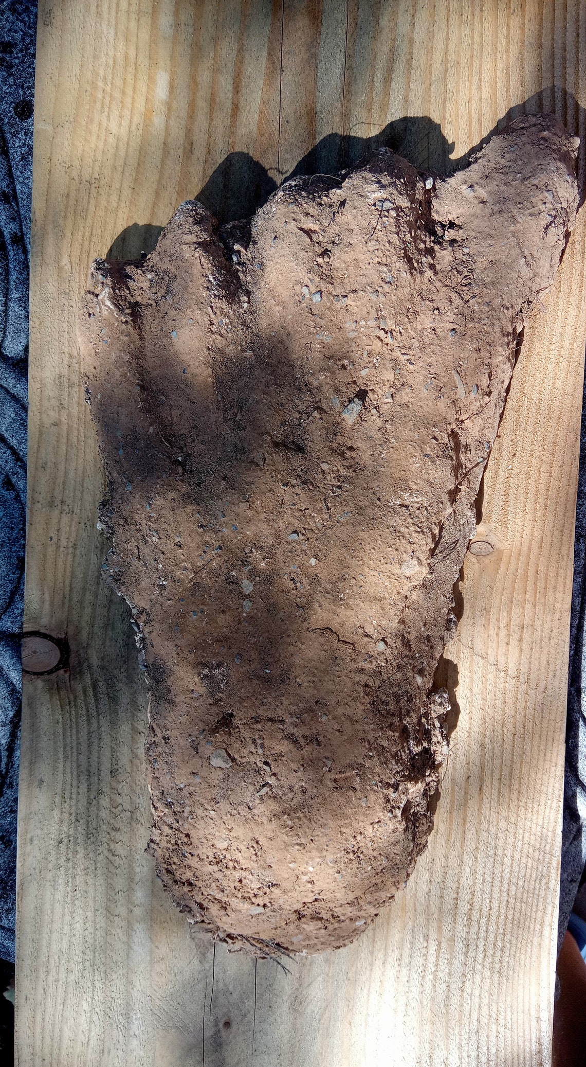 Real SASQUATCH YETI BIGFOOT - Original Footprint It's Not a Copy, Old ...