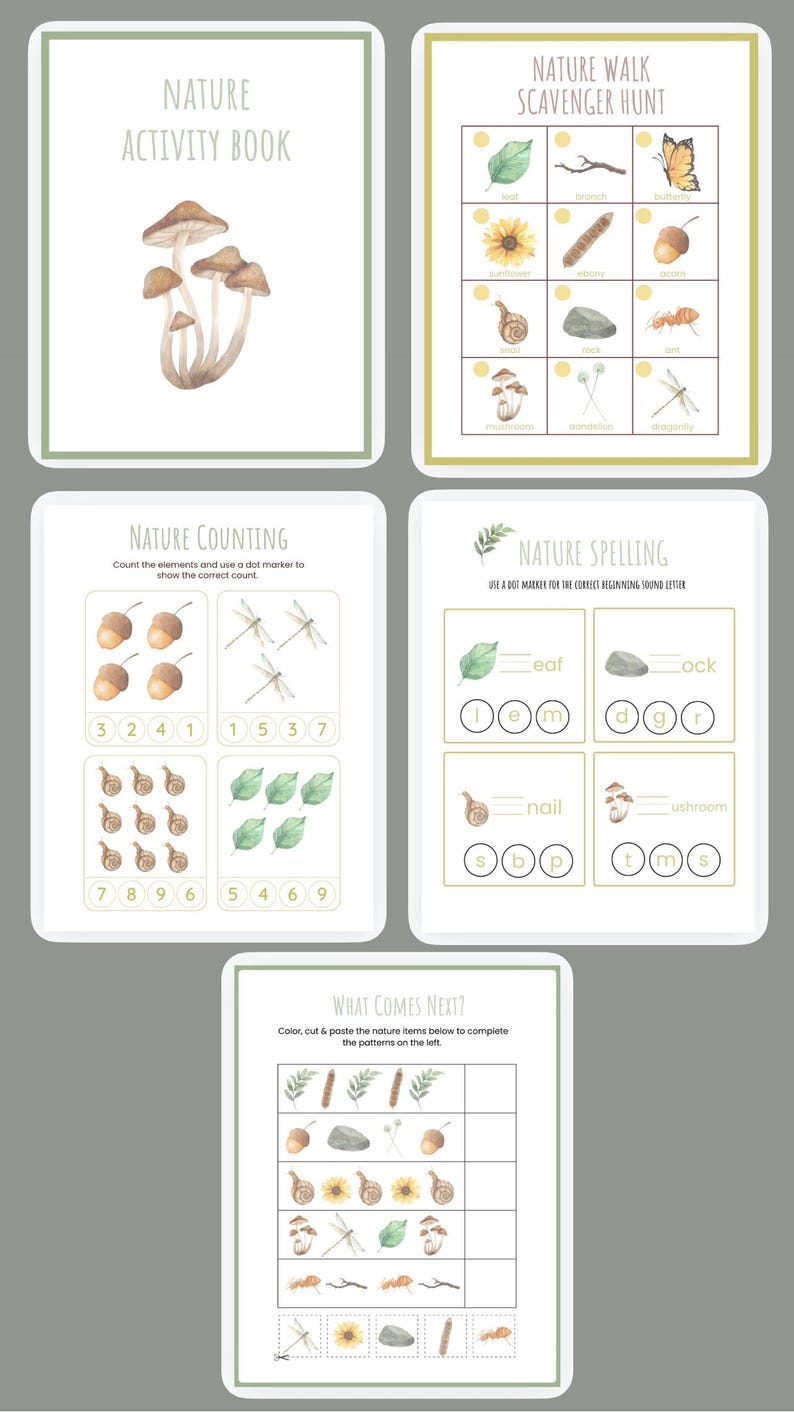 Nature Printable Activity, Preschool Printable, Montessori Printable ...