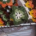 Rear Wheel - Flower Bike Skirt/dress Guard - Bicycle Skirt/dress Guard ...
