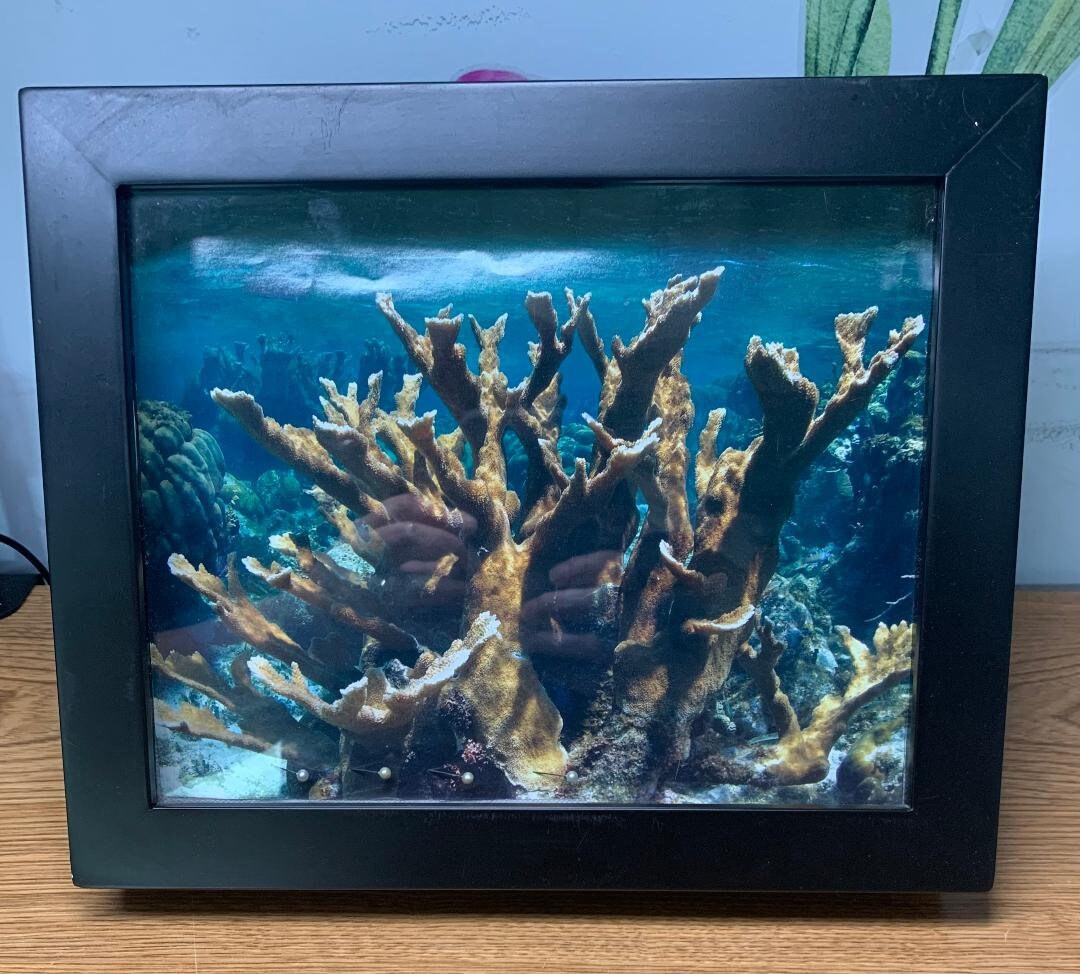 Black Hard Plastic and Glass Shadow Box With 4 Pins - Etsy