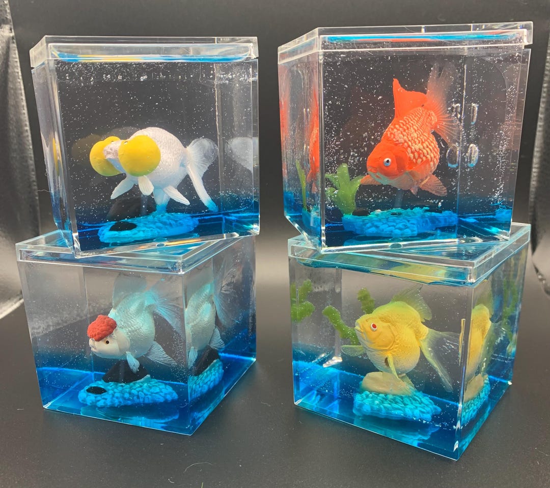 My Forever Pet Goldfish / Hand Made Paper Weight / Has Some Bubbles - Etsy