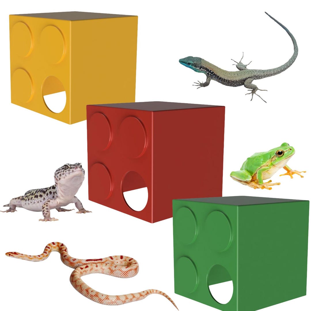 3D Printable Building Block Brick Hide Design for Reptiles and ...