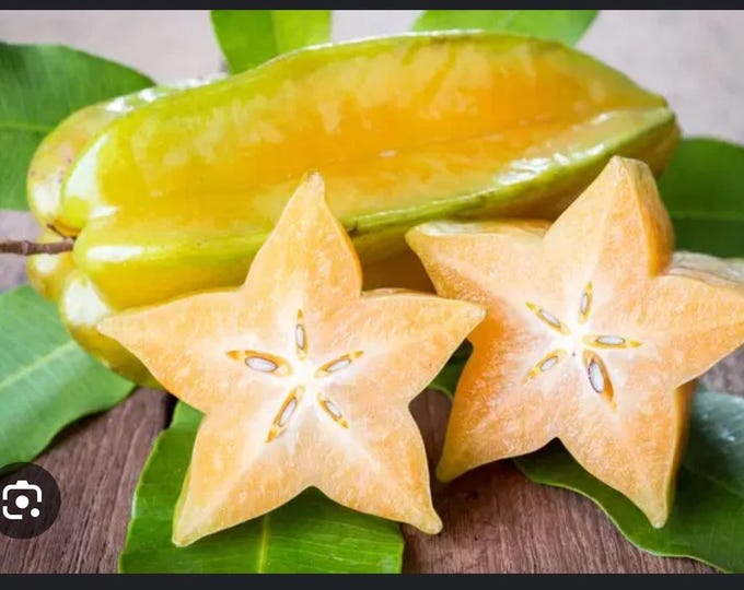 Sweet Star Fruit - Carambola - Grafted 3-4 Feet - Etsy