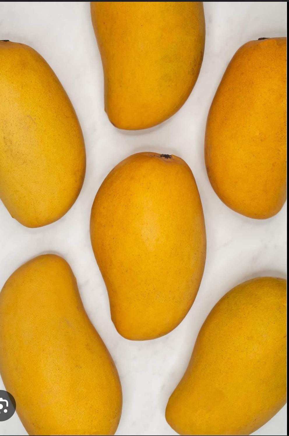 Manila - Carabao - Filipino - Mango Tree - Grafted - Etsy