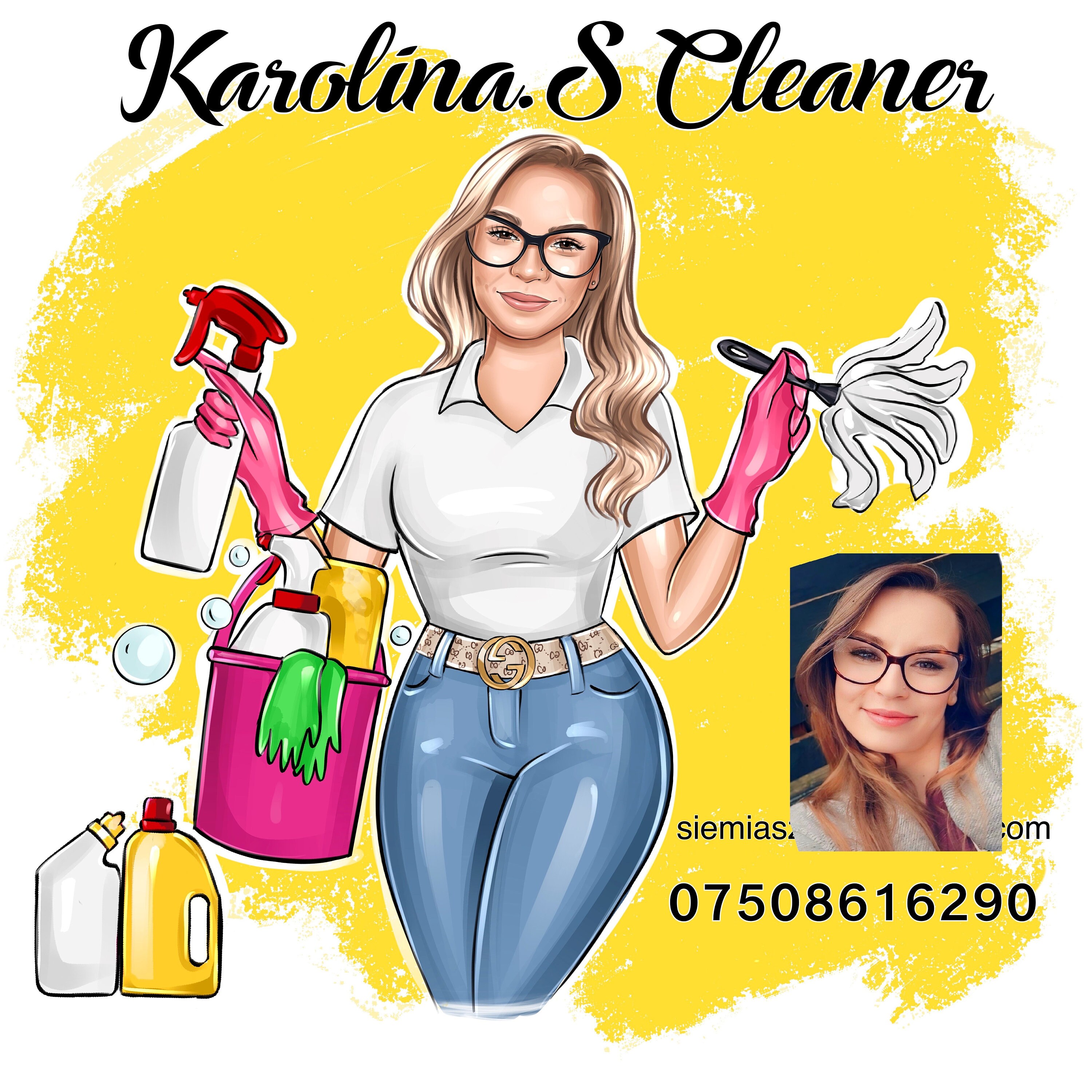 Cartoon Logo, Cleaning Service Logo, Custom Portrait, Cleaning Business ...