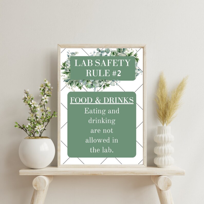 Lab Safety Rules Modern Farmhouse - Etsy