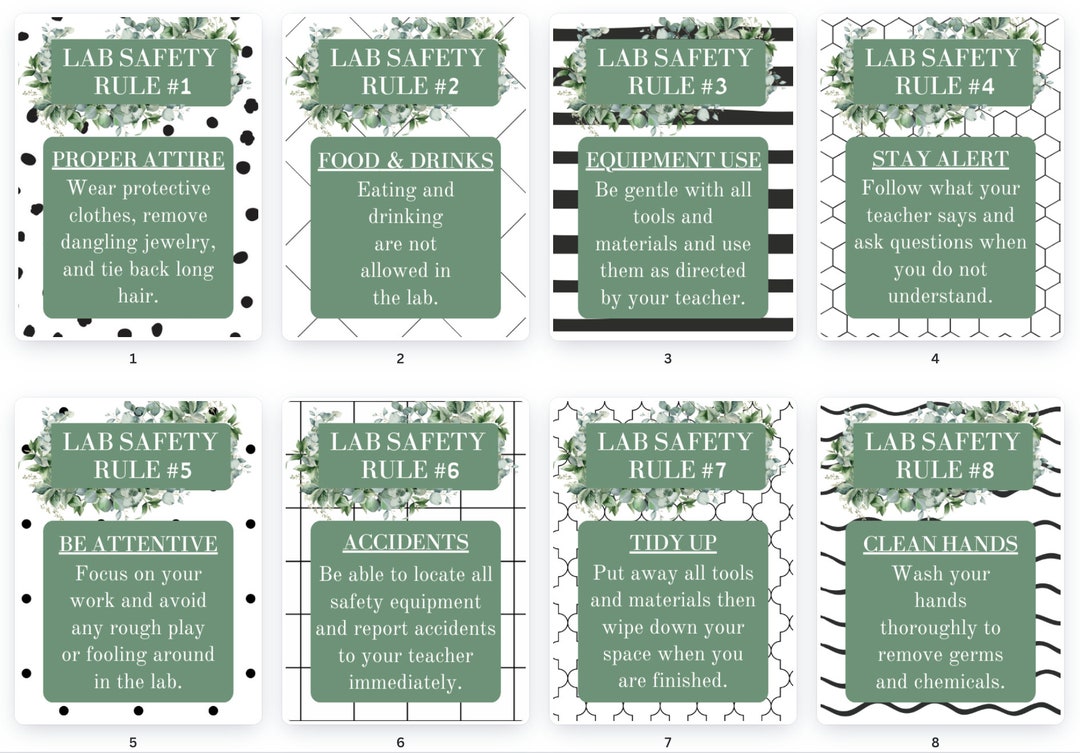 Lab Safety Rules - Modern Farmhouse - Etsy