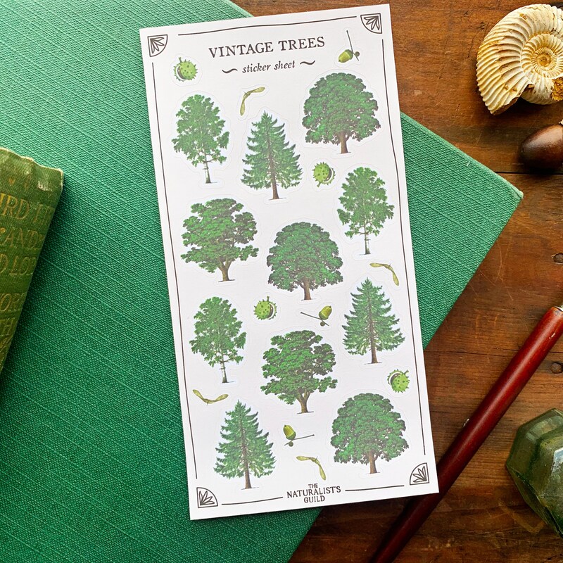 Tree Stickers - Etsy