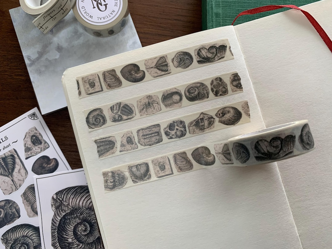 Fossils Natural History Washi Tape: Fossil Hunter's Nature Stationery ...