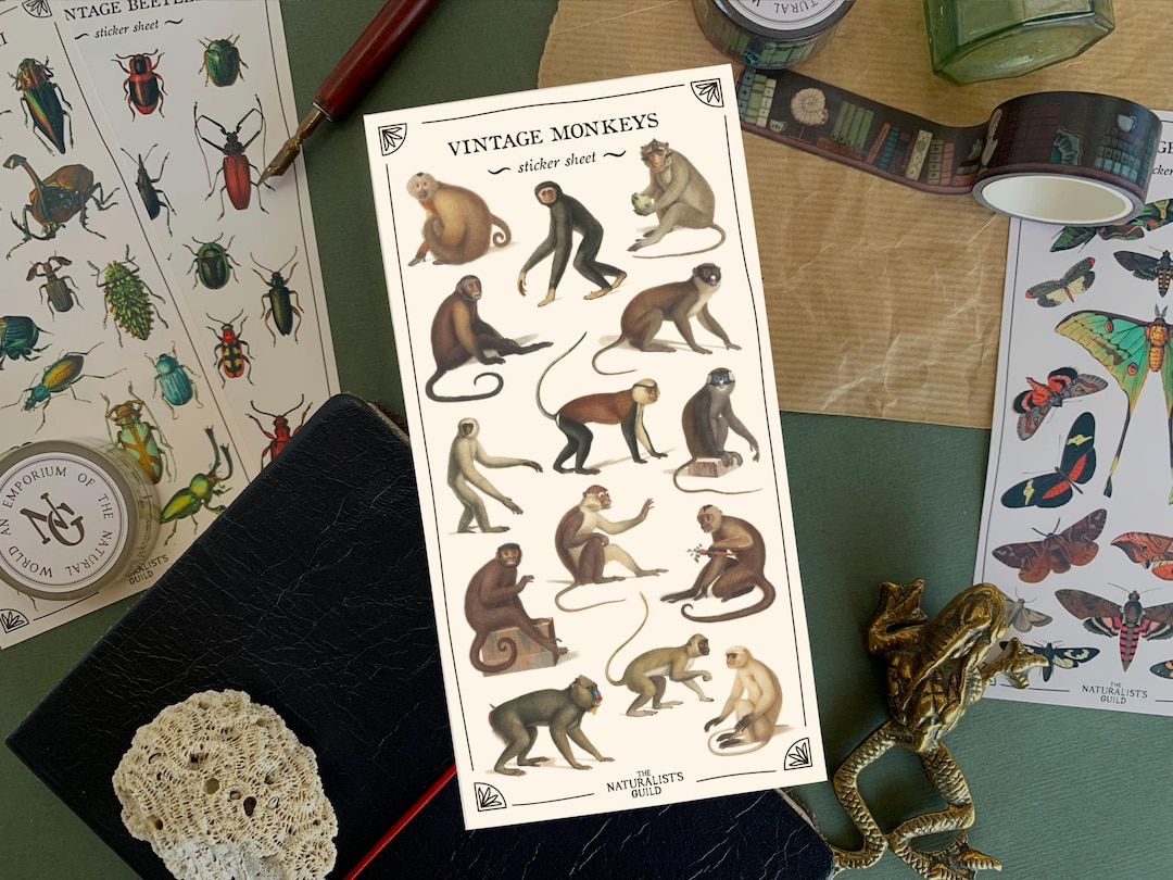 Vintage Monkeys Sticker Sheet: Primate Stickers for Animal Theme Bullet ...