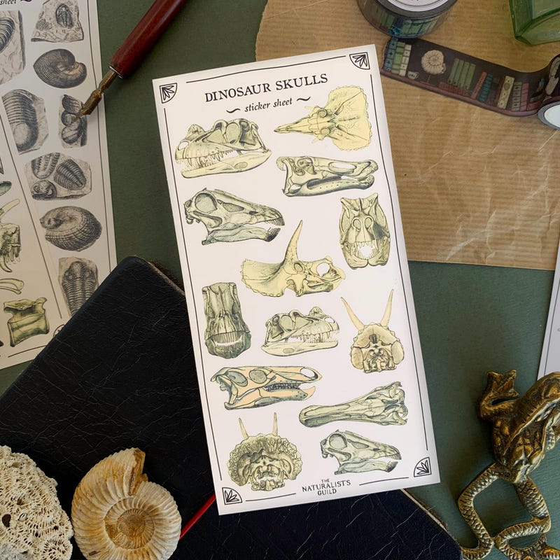 Dinosaurs Archaeology - Etsy UK