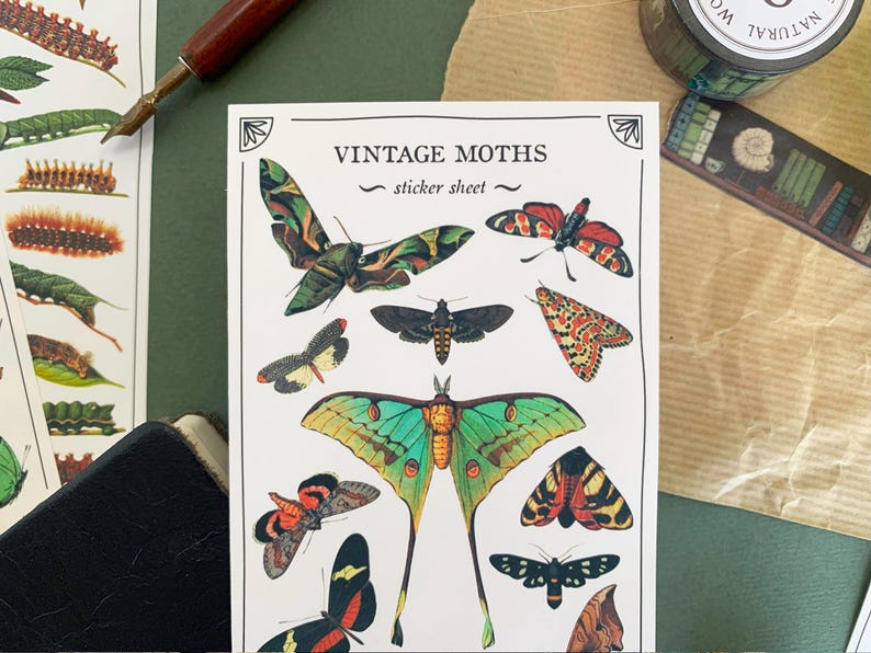 Vintage Moth Sticker Sheet: Colorful Insect Planner Stickers - Etsy