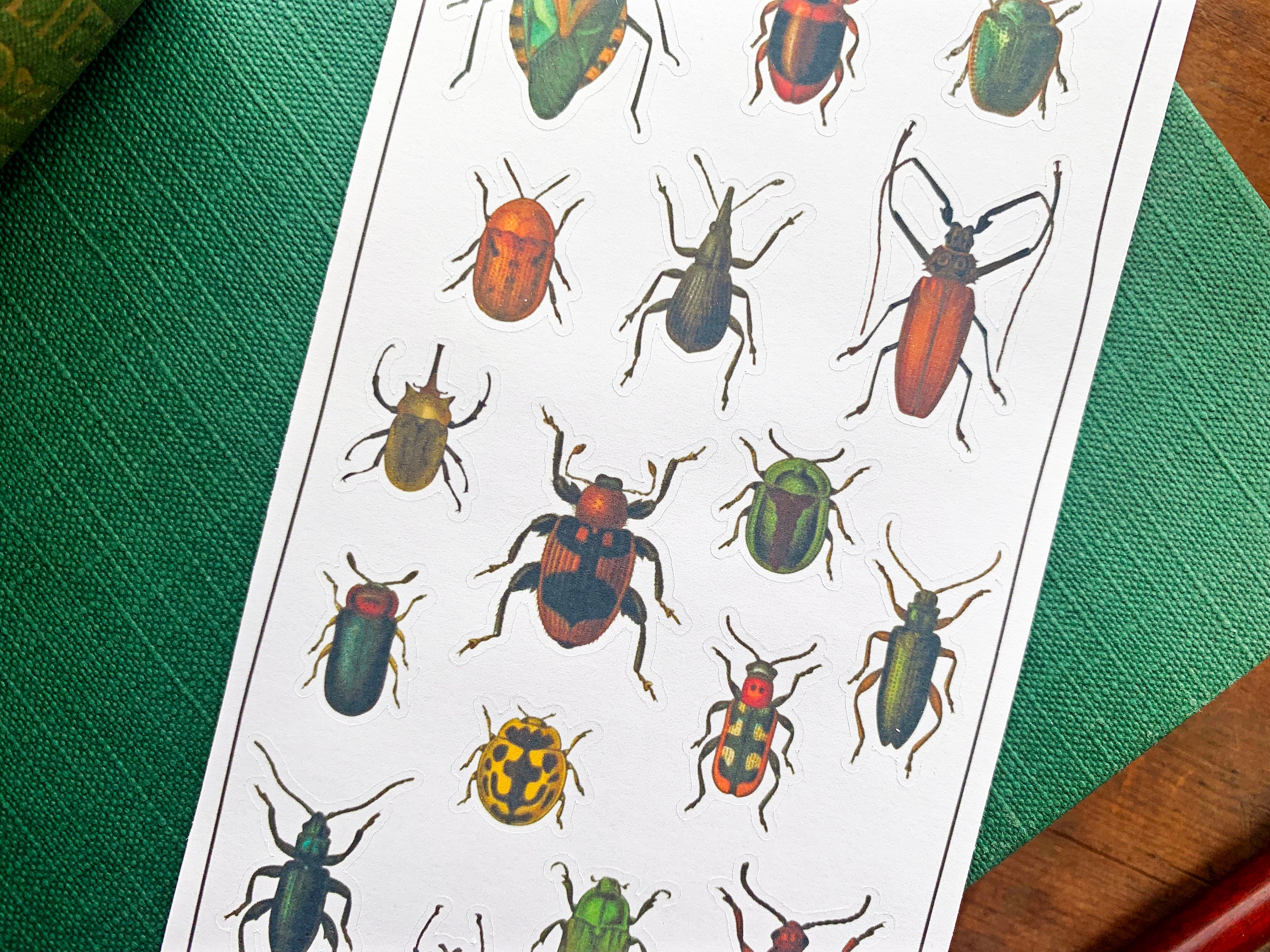 Vintage Beetle Sticker Sheet: Entomology Insect Stickers for Journaling ...