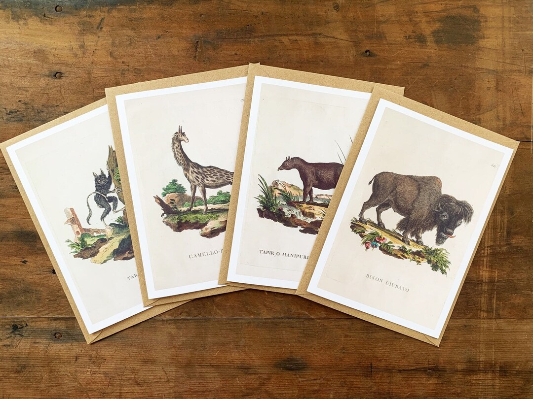 Weird Vintage Animal Illustration Card Set of 4, Funny Made up Animal ...