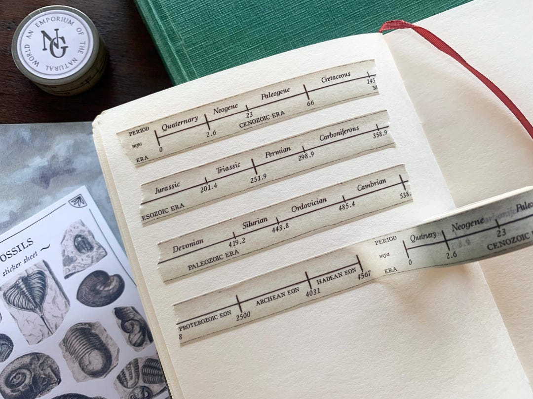 Geological Timescale Washi Tape, Archaeology Decorative Planner Tape ...