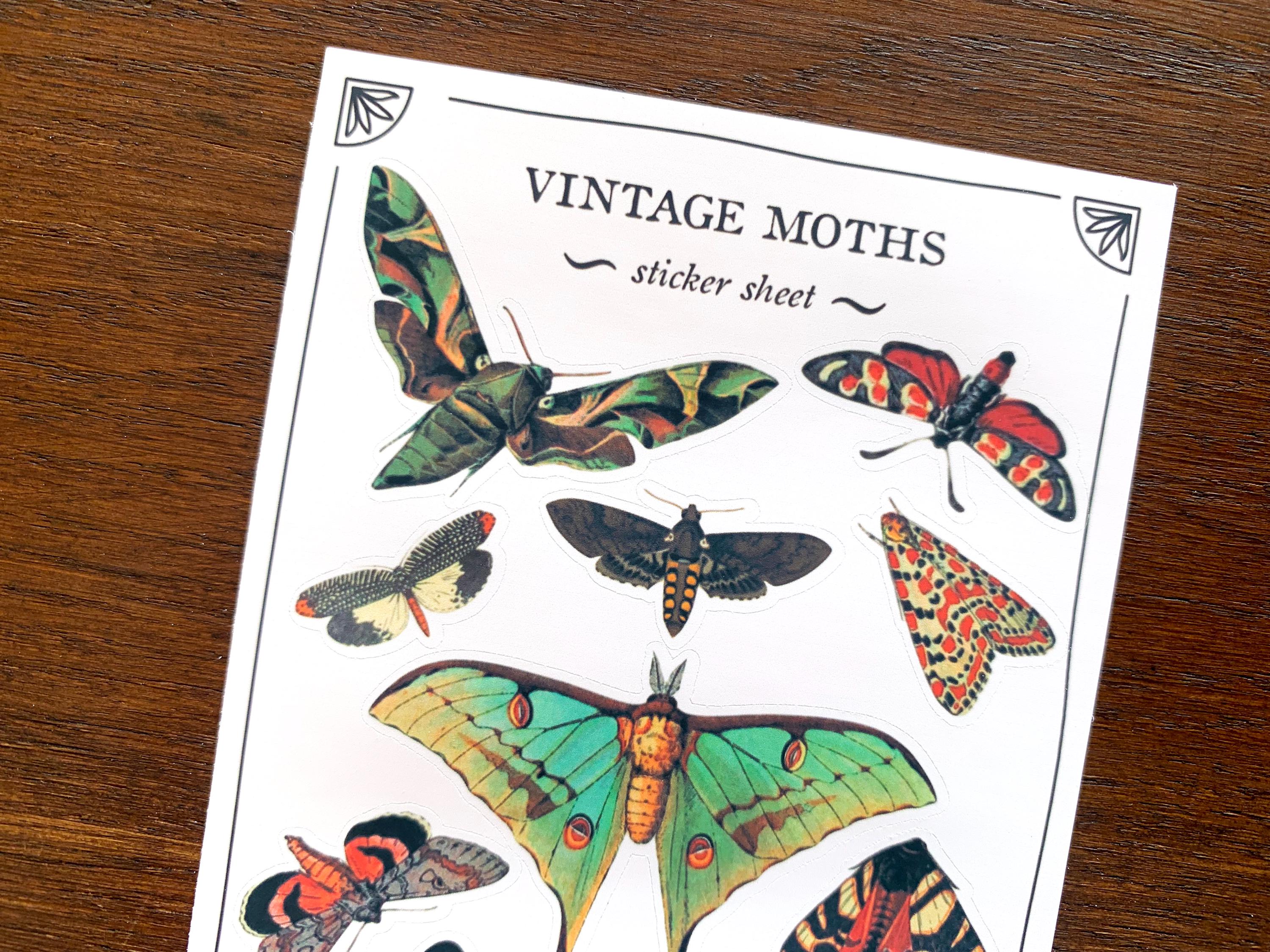 Vintage Moth Sticker Sheet: Colorful Insect Planner Stickers - Etsy