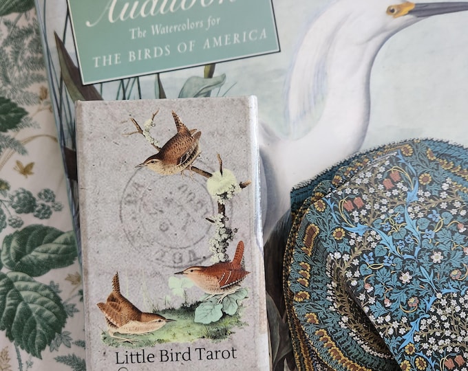Little Bird Tarot & Field Guide - Etsy