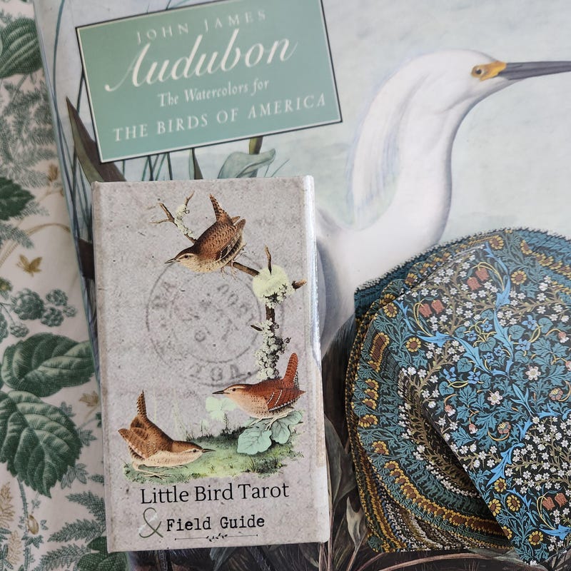 Bird Oracle Cards - Etsy