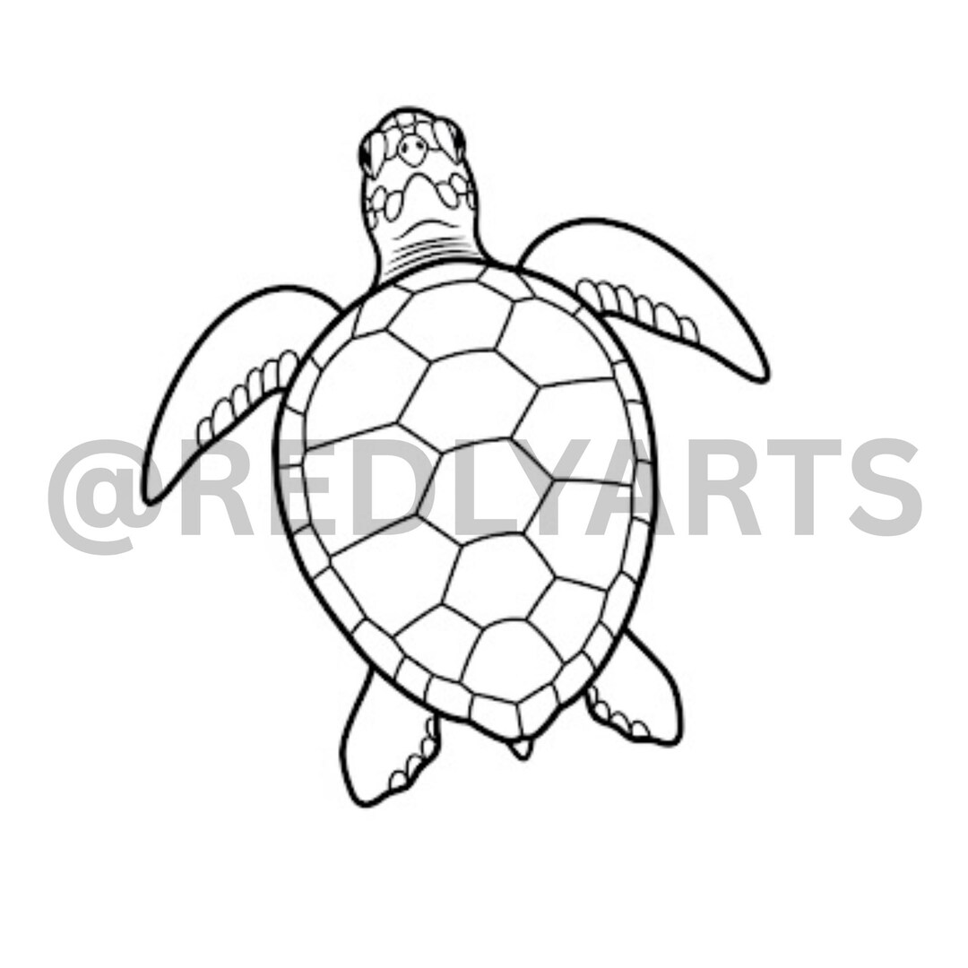 50 Ocean Animals Coloring Pages: Sea Life Printable Art (digital ...