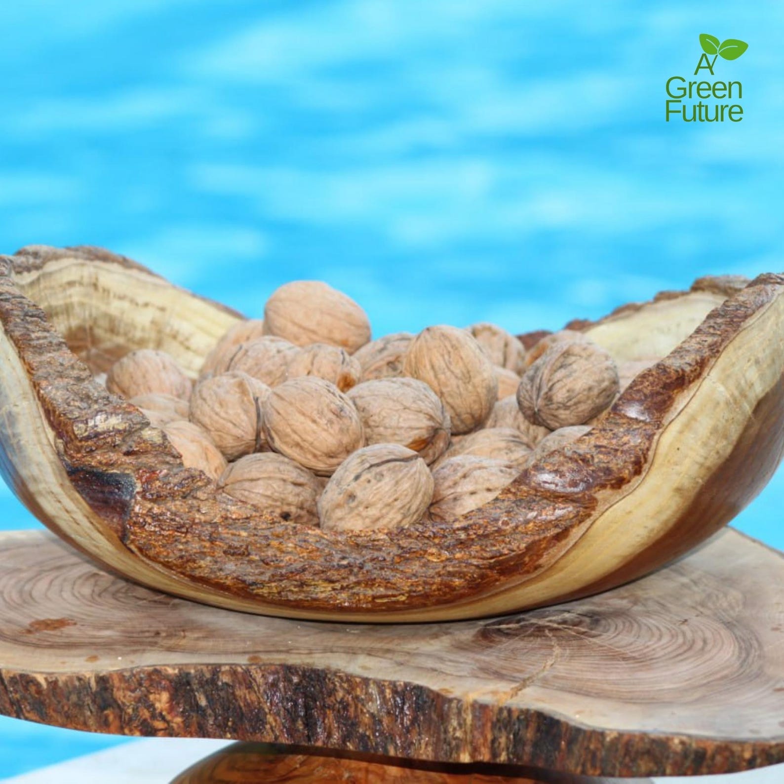 Natural Wood Bowl,mulberry Tree Product Handcrafted Serving Dish ...