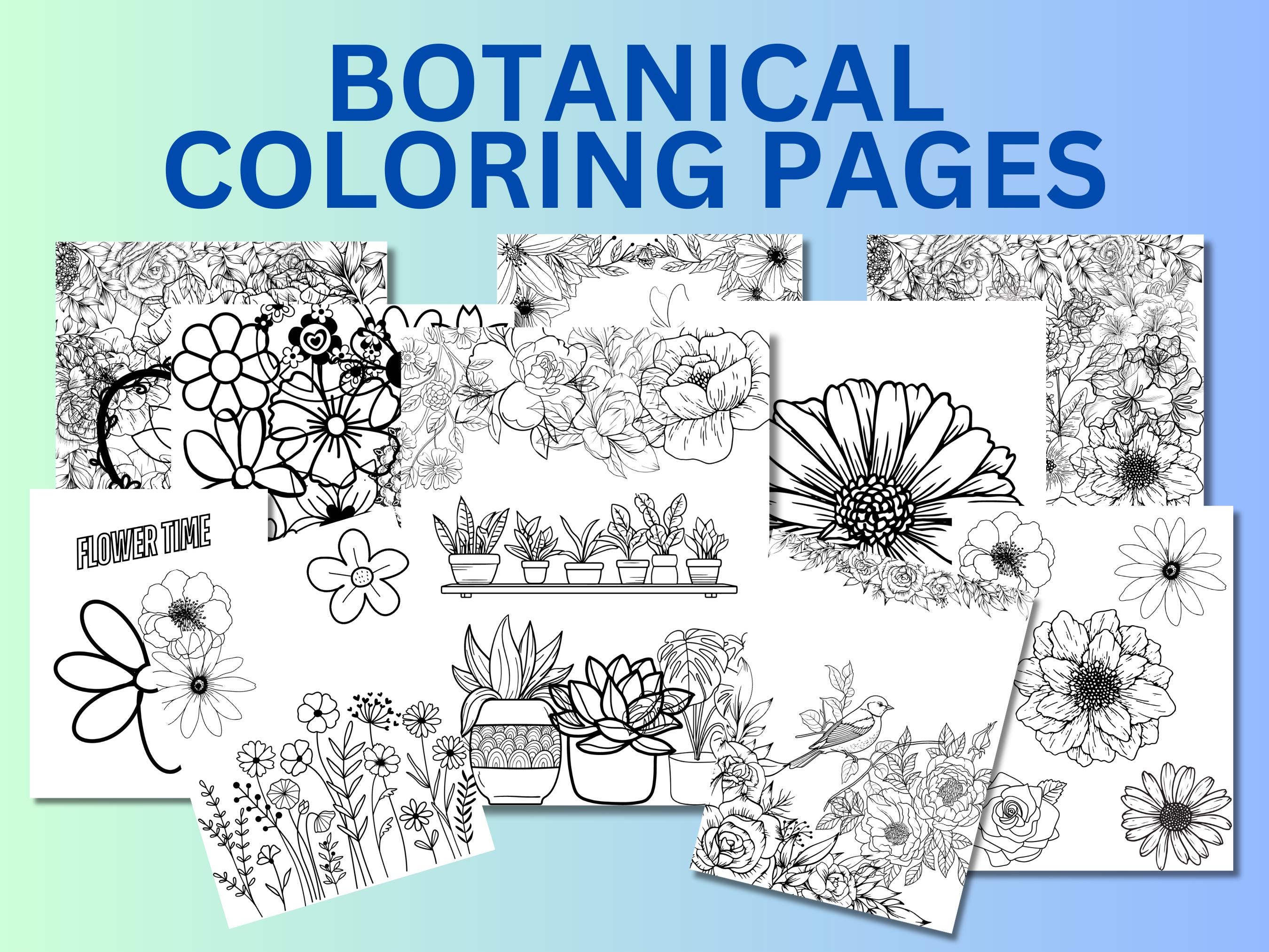 Botanical Coloring Pages, Coloring Page Bundle, 10 Sheets - Etsy