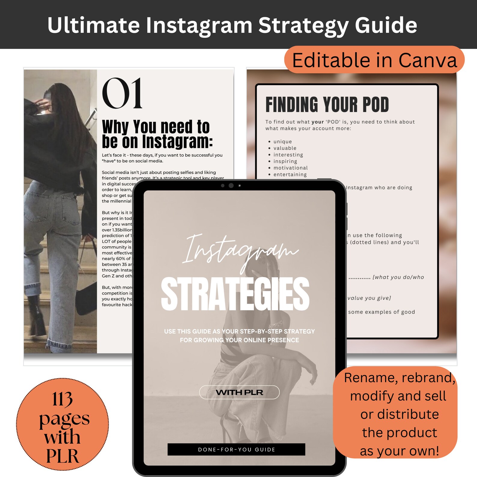 Instagram Growth Guide, MRR, Instagram Strategies, Instagram Business ...