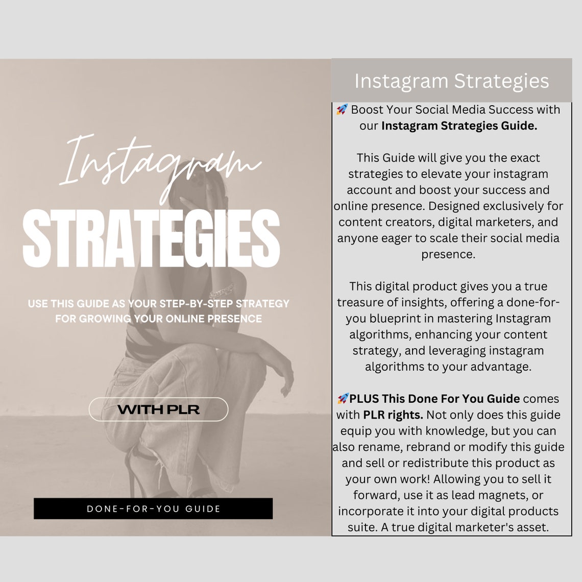 Instagram Growth Guide, MRR, Instagram Strategies, Instagram Business ...
