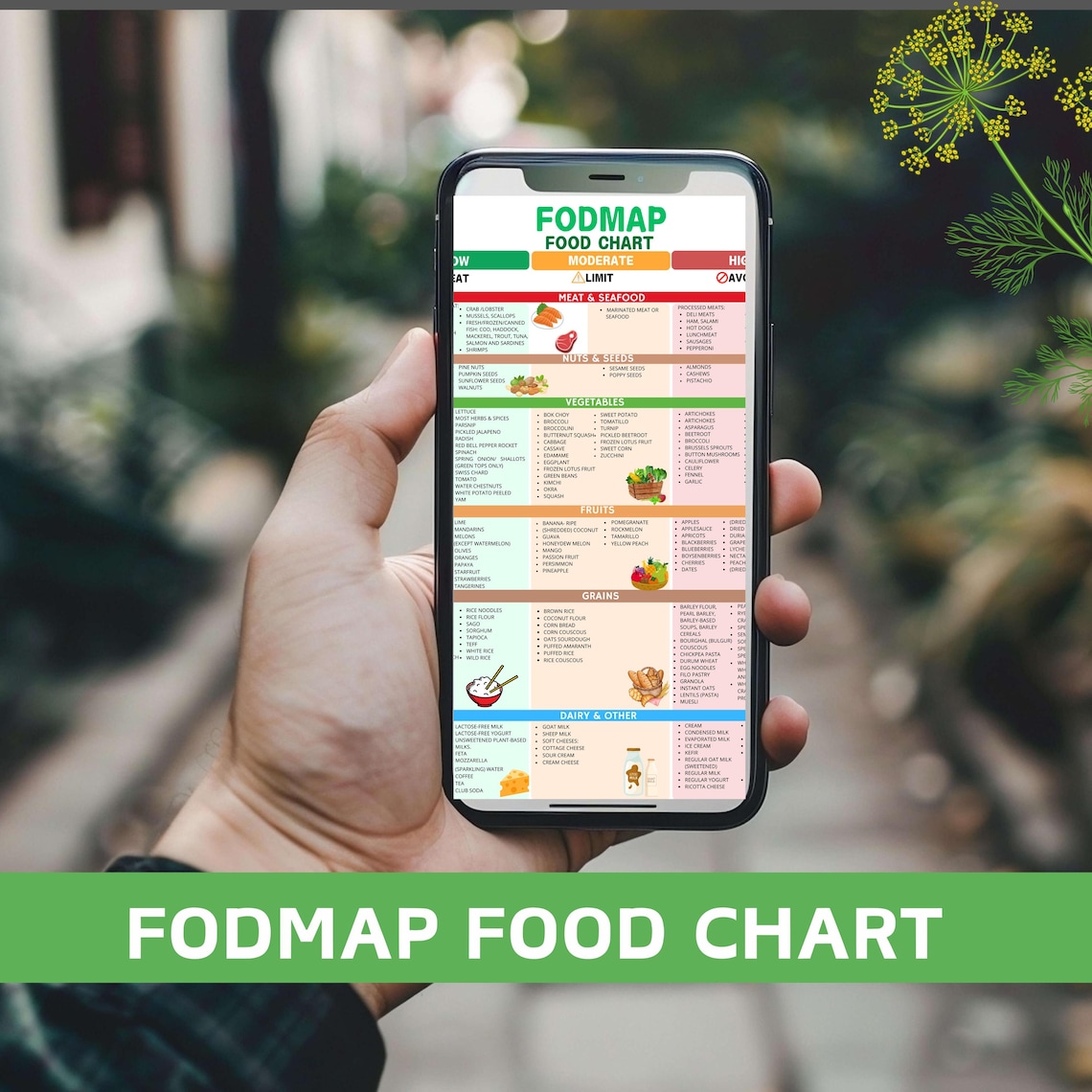 Low Fodmap Food Chart,fodmap Food List,fodmap Poster,fodmap Diet ...