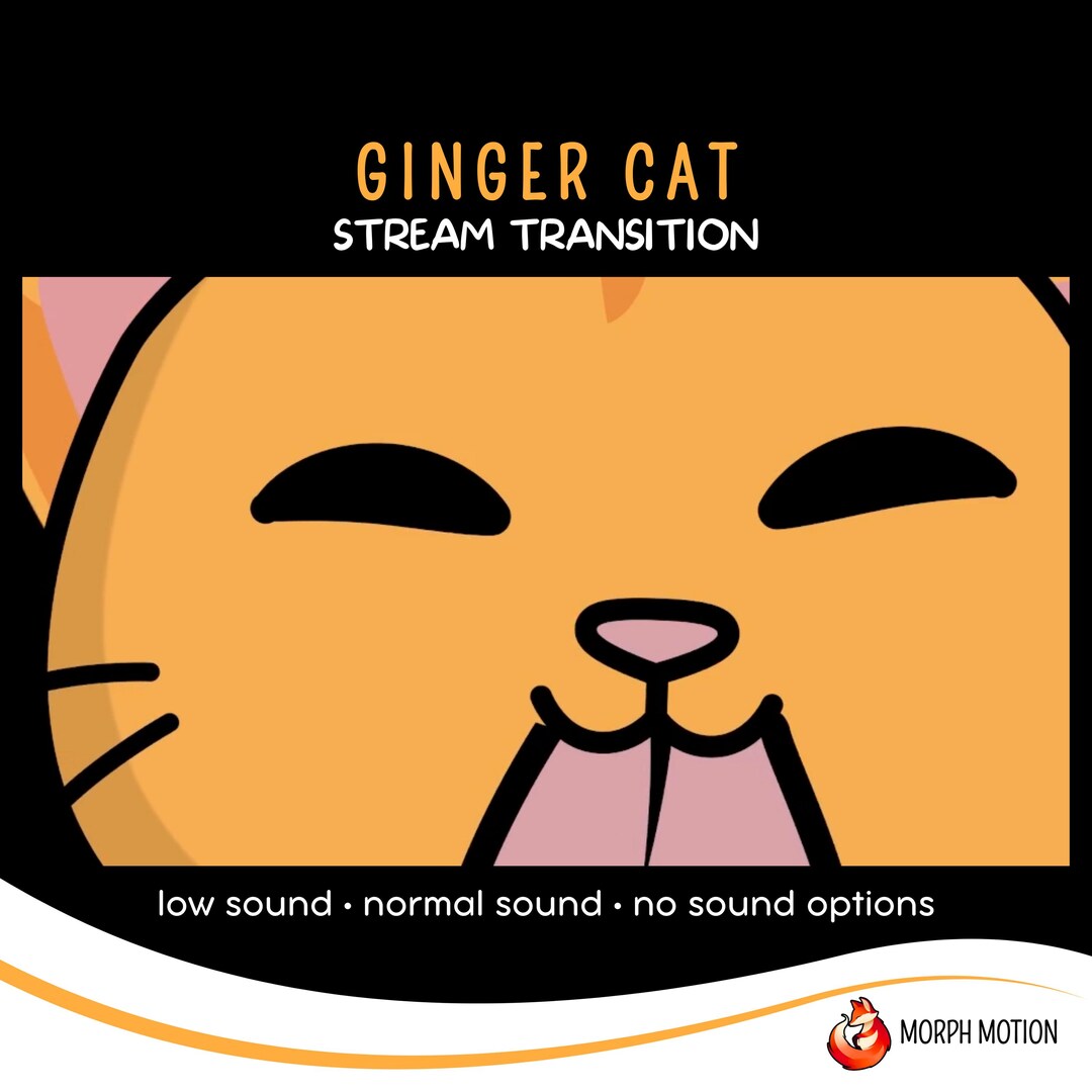 Ginger Cat Animated Stream Transition With Audio, Twitch Stinger ...