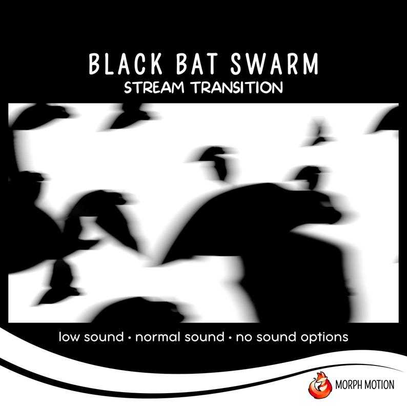 Black Bat Swarm Stream Transition: Spooky Animated Stinger Transition ...