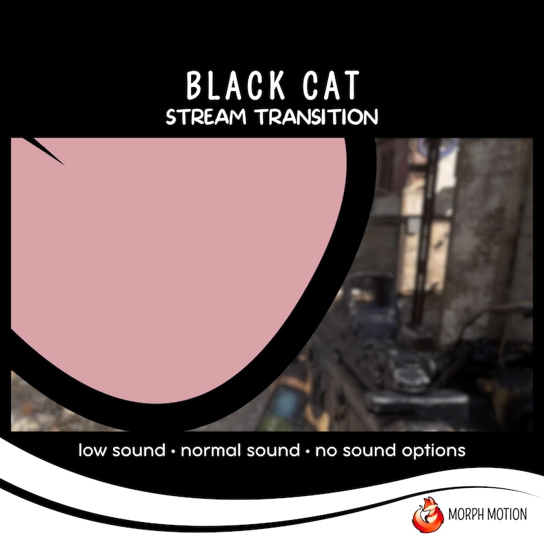 Black Cat Animated Stream Transition With Audio, Twitch Stinger ...