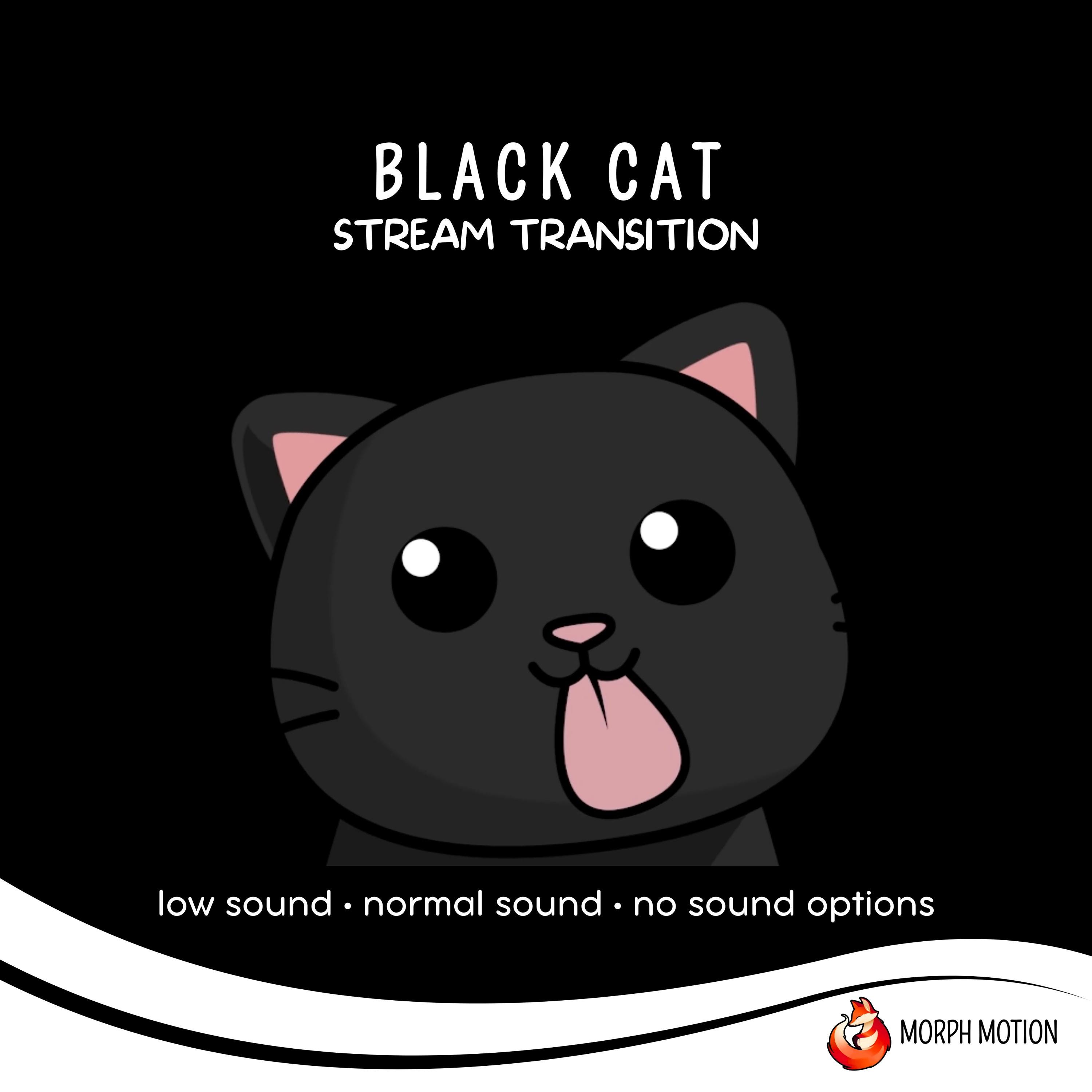 Black Cat Animated Stream Transition With Audio, Twitch Stinger ...