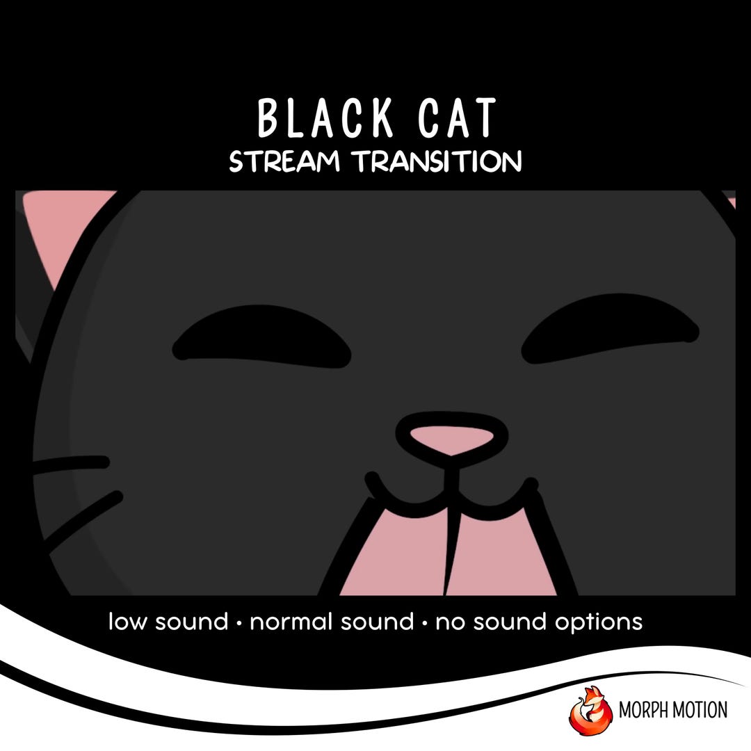 Black Cat Animated Stream Transition With Audio, Twitch Stinger ...